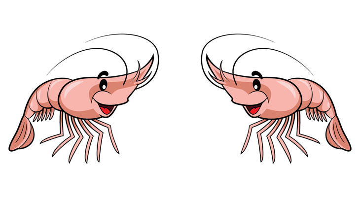 Hilarious: Oh, to Be a Prawn Again | Funny