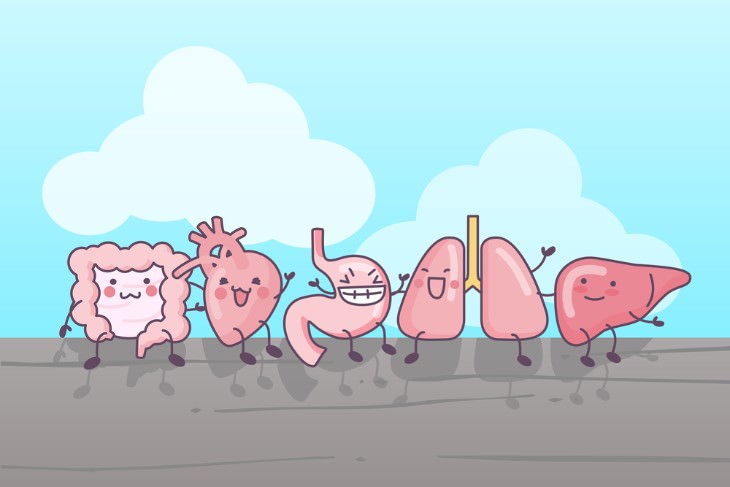 Human Body organs having a joke | Funny